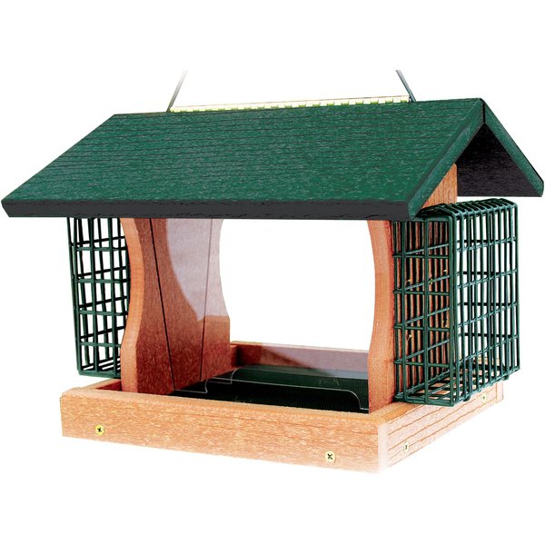 BIRDFY Smart Bird Feeder Camera, 1.5-lb - Chewy.com
