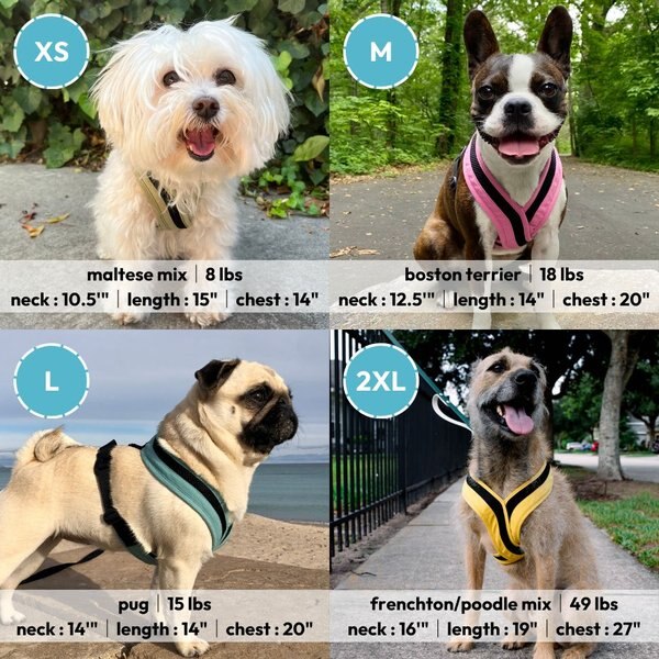 GOOBY Escape Free Comfort X One Dog Harness, Miami Yellow, Medium: 16 ...
