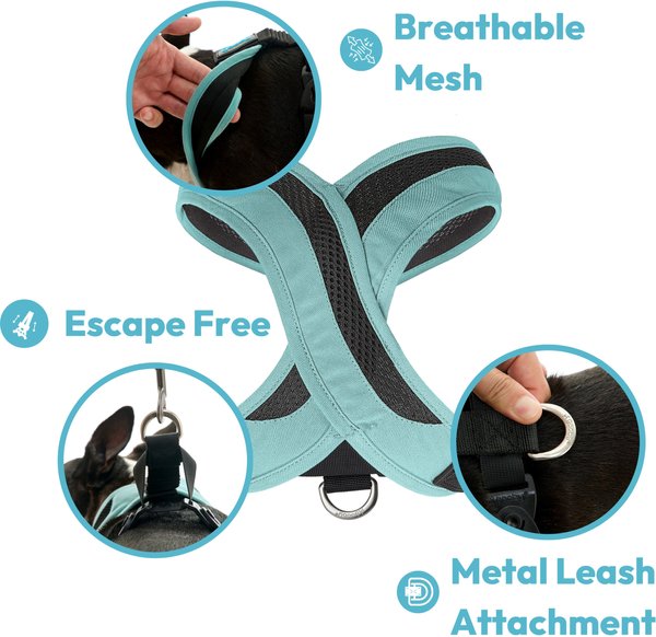 GOOBY Escape Free Comfort X One Dog Harness, Seattle Blue, Medium: 16 to 19.75-in chest - Chewy.com