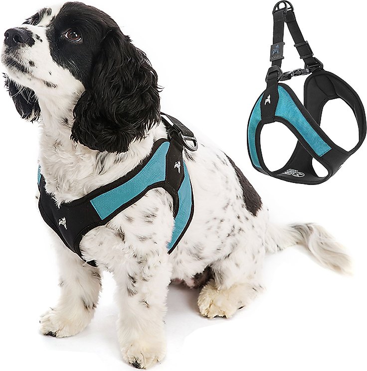 SMALL BREED DOG HARNESSES (Free Shipping) | Chewy