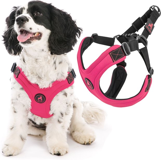 Back Clip Dog Harnesses - Page 2 (Free Shipping) | Chewy
