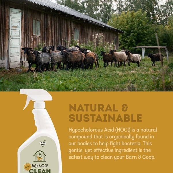 GOOD SALT PET Barn & Coop Cleaner Spray, 32-fl oz bottle, 2 count ...