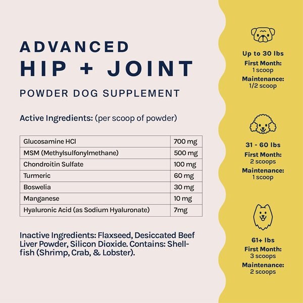 GOOD TROUBLE Advanced Hip & Joint Powder Supplement for Dogs, 4.8-oz ...