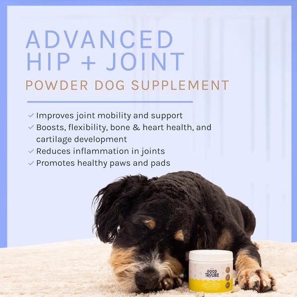 GOOD TROUBLE Advanced Hip & Joint Powder Supplement for Dogs, 4.8-oz ...