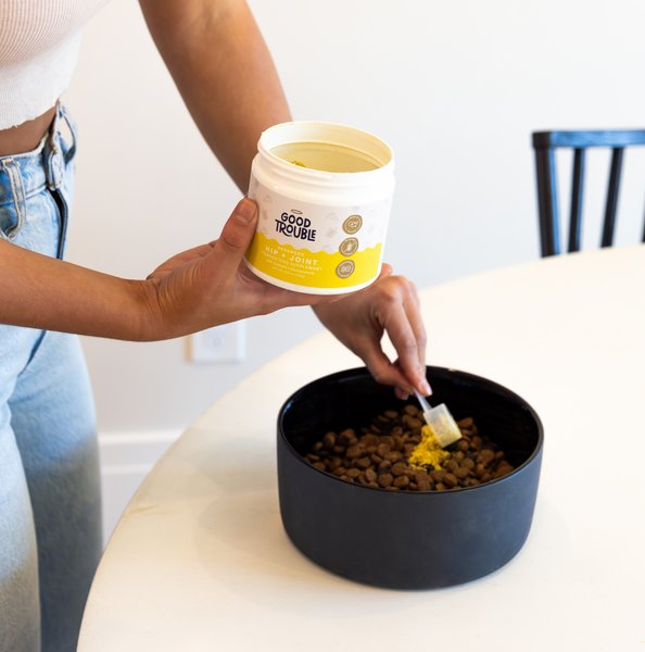 GOOD TROUBLE Advanced Hip & Joint Powder Supplement for Dogs, 4.8-oz ...