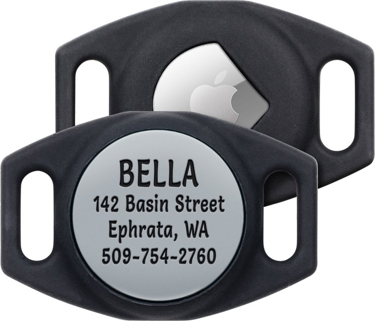 Cat Collar ID Tags: ID Name Tags for Cats (Free Shipping) | Chewy