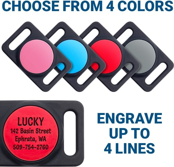 GOTAGS Engraved AirTag Dog & Cat Collar Holder, Red, Large - Chewy.com