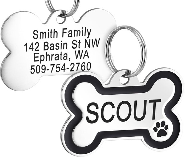 Personalized Dog Products: Custom Dog Accessories (Free Shipping) | Chewy