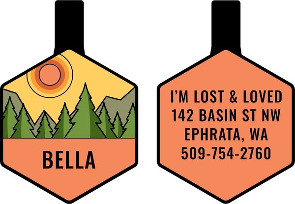 GOTAGS Silent Silicone Personalized Dog ID Tag, Forest Gold - Chewy.com