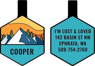 GoTags - Free shipping | Chewy