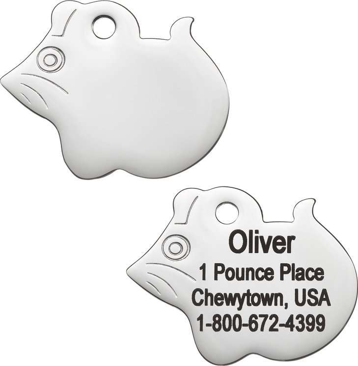 Cat Collar ID Tags - Page 2 (Free Shipping) | Chewy