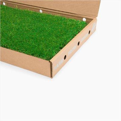GOTTA GO GRASS Small Pet Real Grass Pad Liner Refill, 16-in x 24-in ...