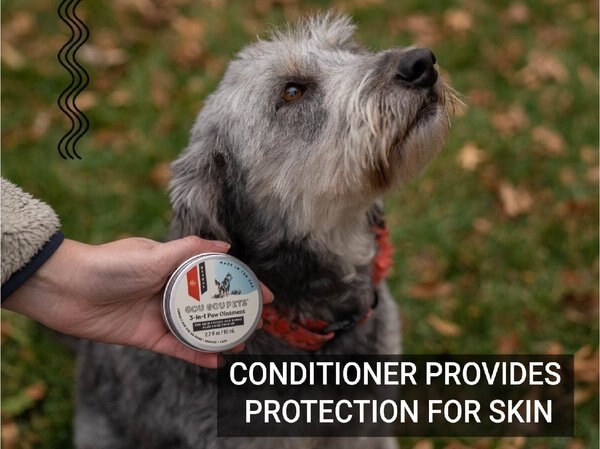 GOU GOU PETS 3-in-1 Paw Ointment Dog & Cat Cream, 1-fl oz bottle ...