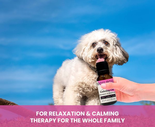 GOU GOU PETS Calming Essential Oil Blend for Anxiety Dog & Cat Spray ...