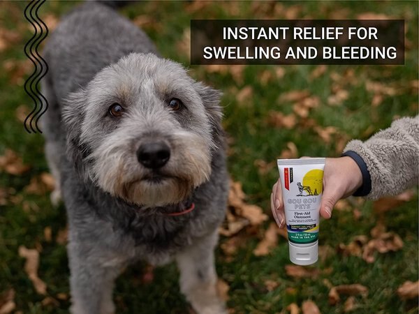 GOU GOU PETS First Aid Ointment Dog, Cat & Horse Cream, 2-fl oz bottle ...