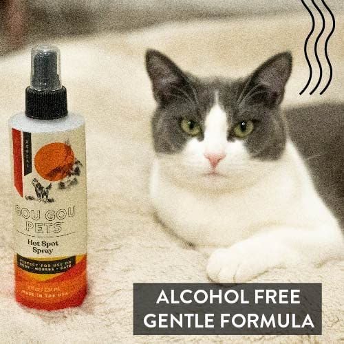 GOU GOU PETS Hot Spot Spray for Dog, Cat & Horse, 8-fl oz bottle, 1 ...