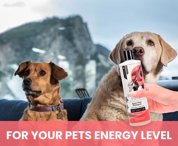 GOU GOU PETS Inner Fuel & Energy Boosting Dog & Cat Shampoo, 16-oz ...