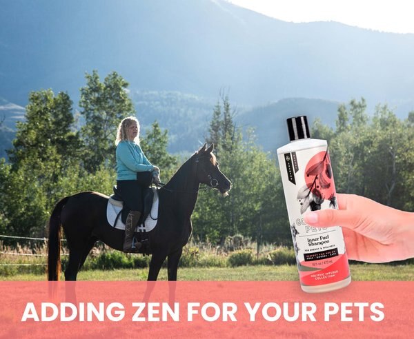 GOU GOU PETS Inner Fuel & Energy Boosting Dog & Cat Shampoo, 16-oz ...