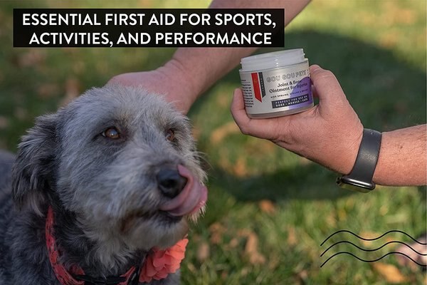 GOU GOU PETS Joint & Bone Ointment for Injuries Dog, Cat & Horse Cream ...