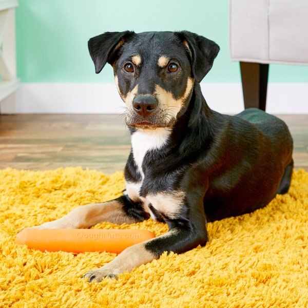 GOUGHNUTS Stick Dog Toy, Orange, Original - Chewy.com