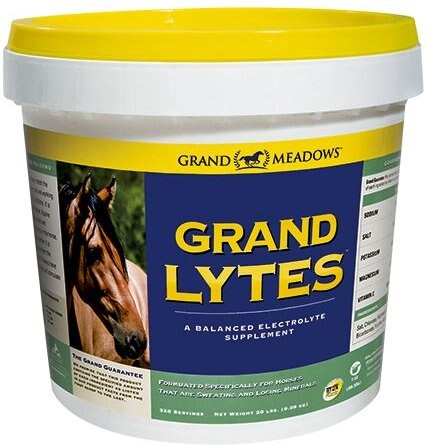 GRAND MEADOWS Lytes Horse Supplement, 20-lb bag - Chewy.com
