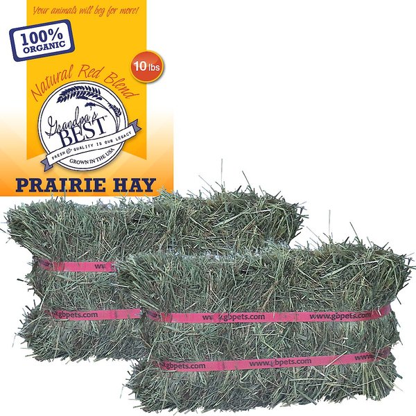 OXBOW Orchard Grass Hay Small Animal Food, 40-oz bag, bundle of 2 ...