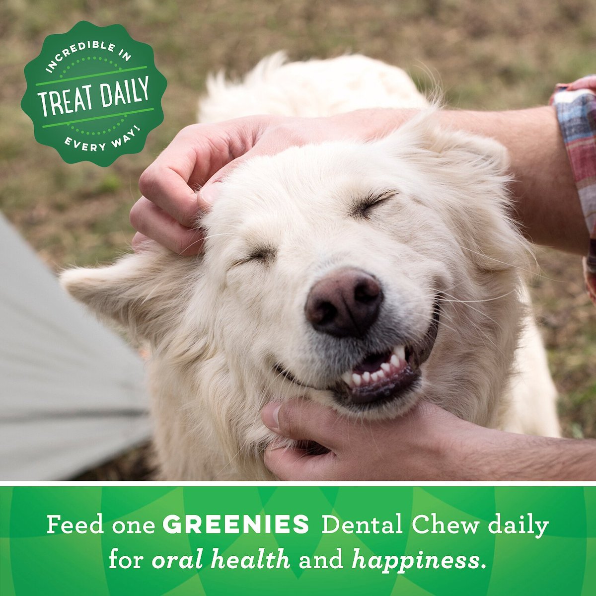GREENIES Regular Original Chicken Flavor Dental Dog Treats, 27 count ...