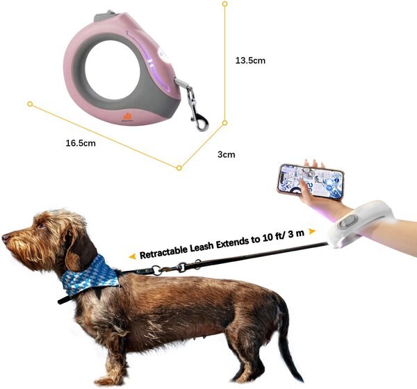 GROOVYPETS LED Flashlight Wearable Hand-Free Retractable Dog Leash, 10 ...
