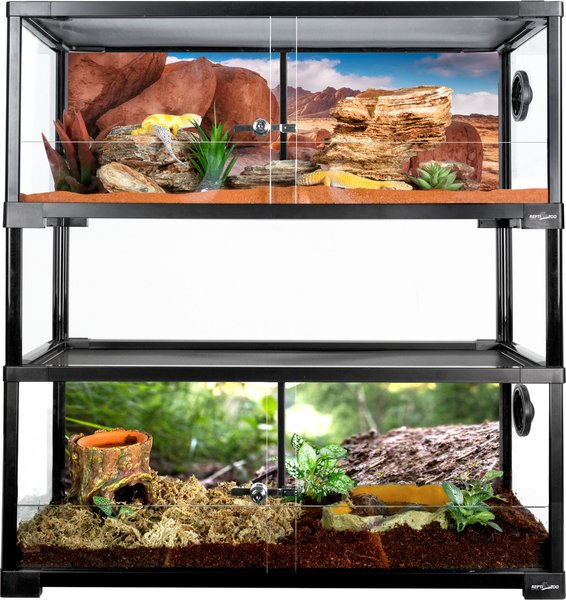 GUZZLO 2-Layer Extra-Low Reptile Glass Terrarium, Black, 40-gal - Chewy.com