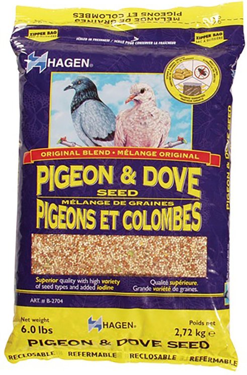 Pigeon Food | Chewy