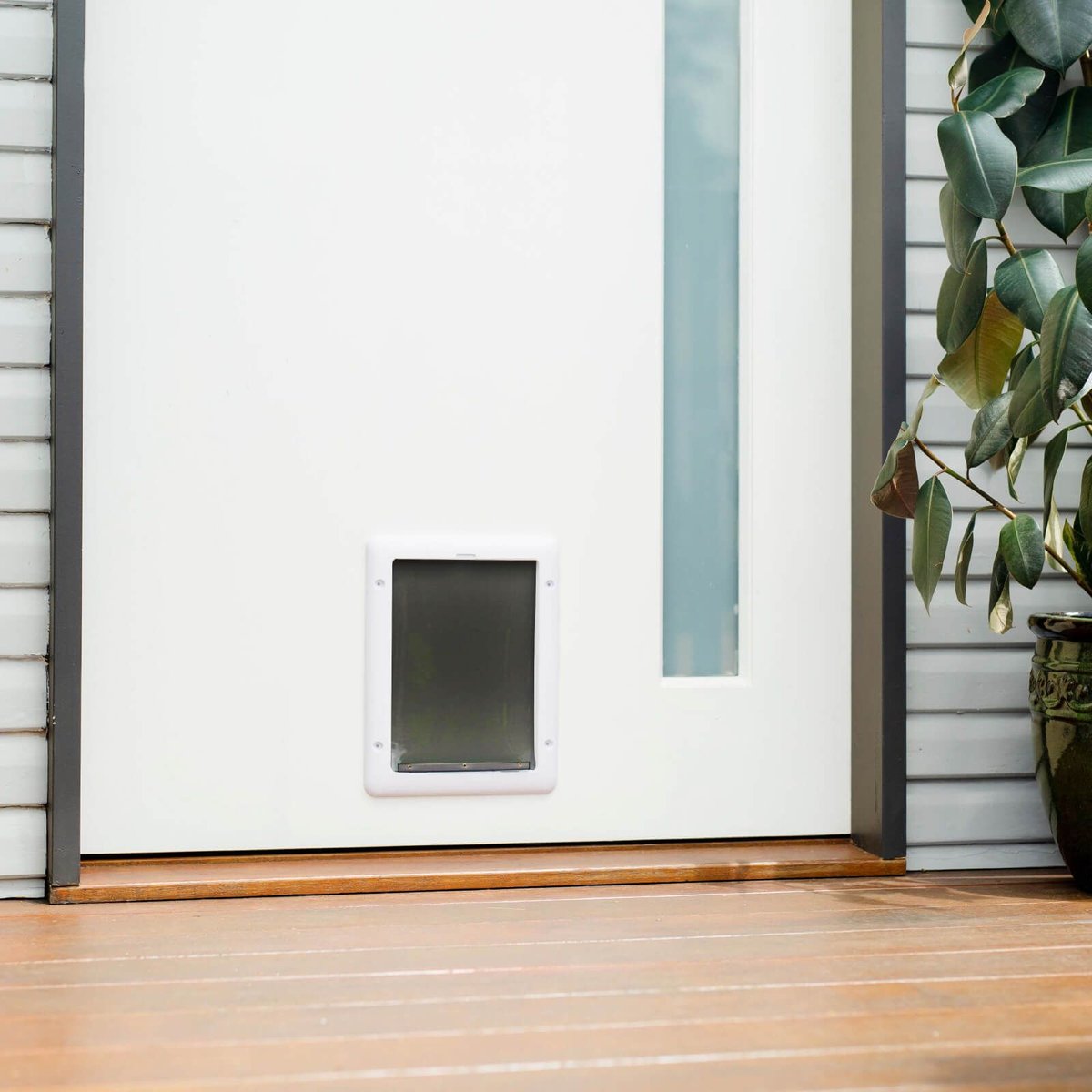 HAKUNA PETS Essential Dog & Cat Door, White, Small - Chewy.com