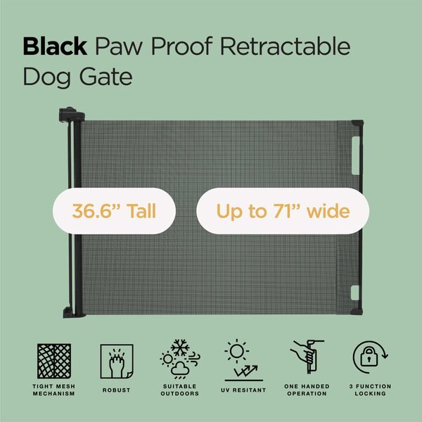 HAKUNA PETS Polyester Paw Proof Retractable, 3-Way-Locking Dog & Cat ...