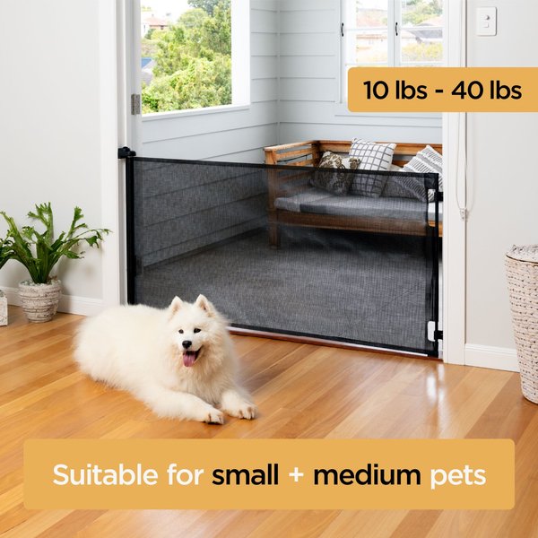 HAKUNA PETS Retractable Steel & Mesh Mounted Dog & Cat Gate, 33-in ...