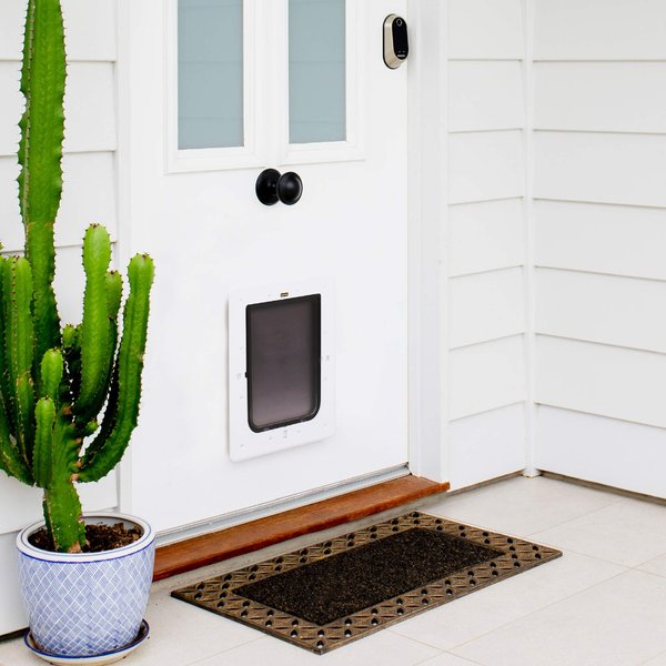 HAKUNA PETS Super Tough Dog & Cat Door, White, Medium - Chewy.com