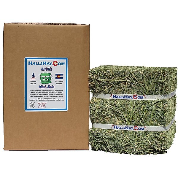 HALL'S HAY Alfalfa Mini-Bale Small Pet Food, 6-lb box - Chewy.com