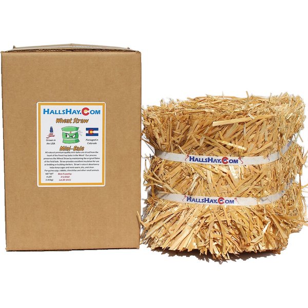 HALL'S HAY Wheat Straw Mini-Bale Small Pet Bedding, 4-lb box - Chewy.com