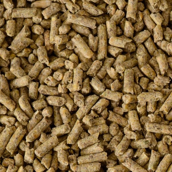 HALLWAY FEEDS Stamm 30 High Protein Horse Feed, 50-lb bag - Chewy.com