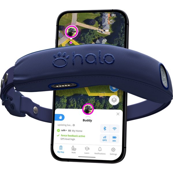 10 Best Electric Fence Systems for Dogs 2025: According to Reviews | Chewy