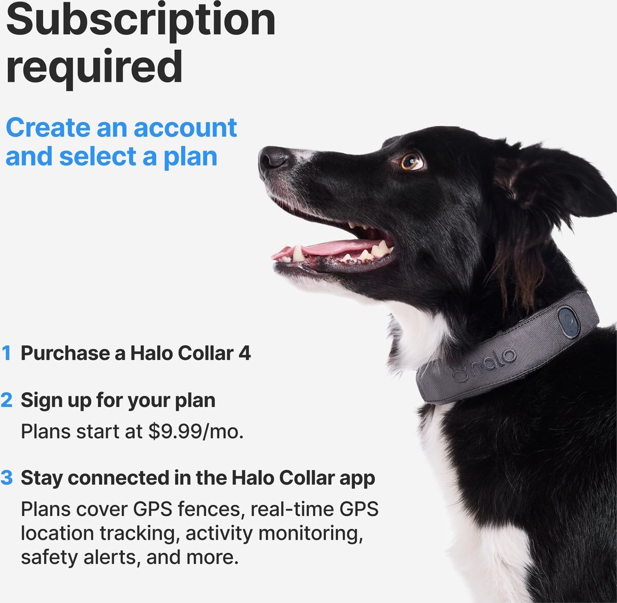 Out of Stock - HALO COLLAR 4 GPS Wireless Fence Real Time Tracking ...