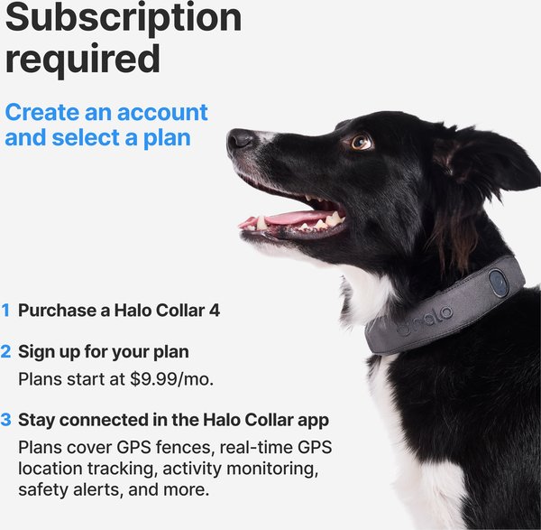 Out of Stock - HALO COLLAR 4 GPS Wireless Fence Real Time Tracking Training Dog Collar, 7 to 30. ...