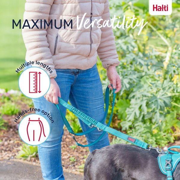 HALTI Anatomy Multi Lead Polyester Bungee Reflective Dog Leash, Grey ...