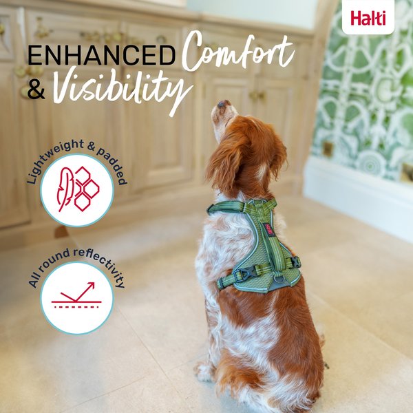 HALTI Anatomy Reflective Dog Harness, Green, X-Large: 30.75 to 45.25-in ...