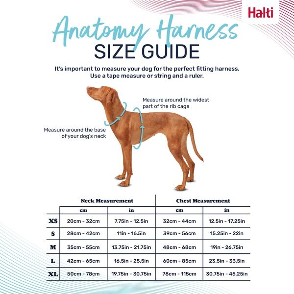HALTI Anatomy Reflective Dog Harness, Teal, X-Large: 30.75 to 45.25-in ...