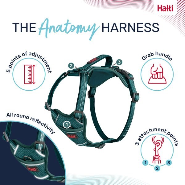 HALTI Anatomy Reflective Dog Harness, Teal, X-Large: 30.75 to 45.25-in ...