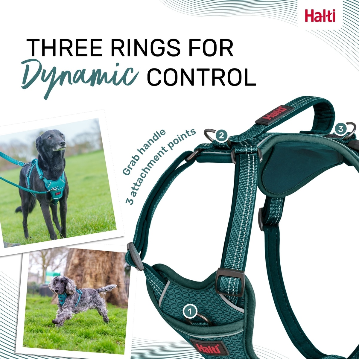 HALTI Anatomy Reflective Dog Harness, Teal, X-Large: 30.75 to 45.25-in ...