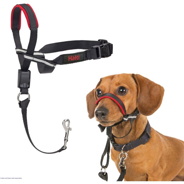 HALTI Reflective Padded No Pull Dog Headcollar, Burnt Orange, Size 3 ...