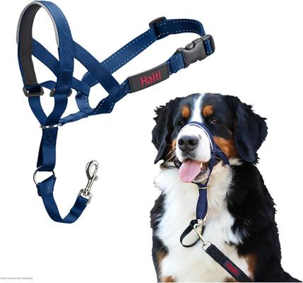 no pull dog headcollar