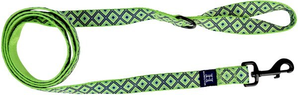 HAMILTON A Day Together Ribbon Overlay Nylon Standard Dog Leash, Lime ...