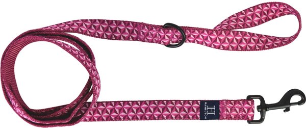 HAMILTON A Day Together Ribbon Overlay Nylon Standard Dog Leash ...