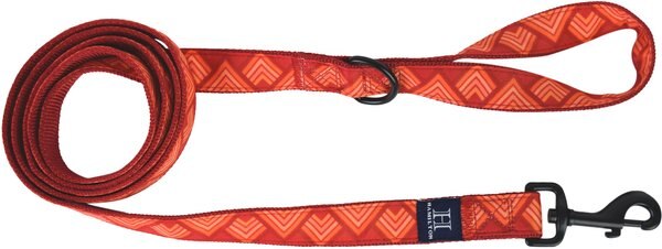 HAMILTON A Day Together Ribbon Overlay Nylon Standard Dog Leash, Red ...
